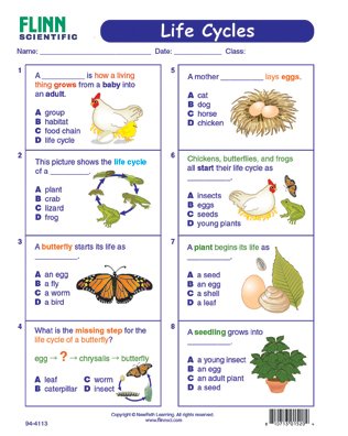 Product 40672 | Flinn Scientific