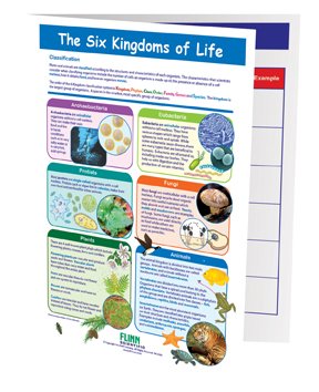 The 6 Kingdoms of Life—NewPath Visual Learning Guide, Set of 10 | Flinn ...