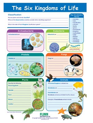 The 6 Kingdoms of Life—NewPath Visual Learning Guide | Flinn Scientific