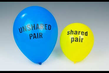 Valence Shell Electron Balloons