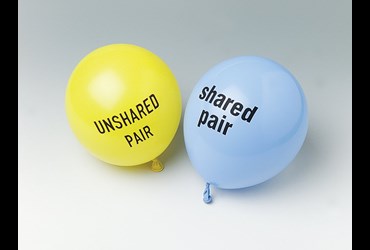 Valence Shell Electron Balloons