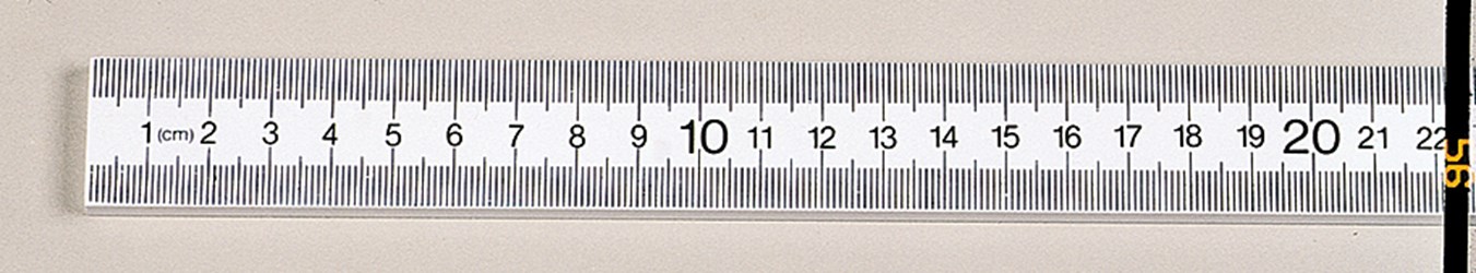 Meter Stick, Plastic | Flinn Scientific