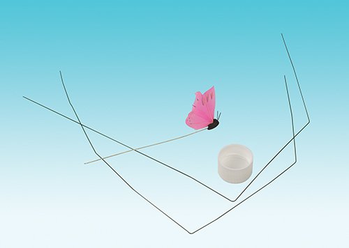 Product 12650 | Flinn Scientific