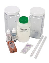 Ocean Current Activity Model | Flinn Scientific