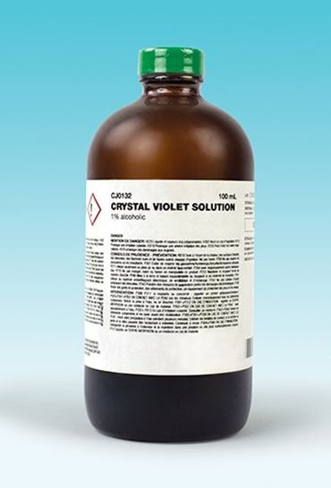 Crystal Violet Solution 1%, 100 mL | Flinn Scientific