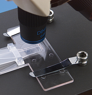 Culture Slides for Biology and Life Science