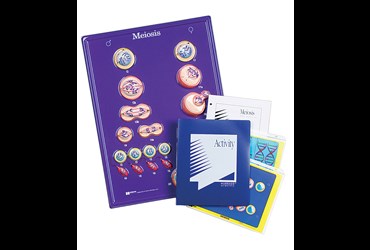 Mitosis and Meiosis Model Activity Sets for Biology and Life Science