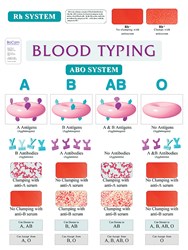 ABO Blood Typing Wall Chart | Flinn Scientific