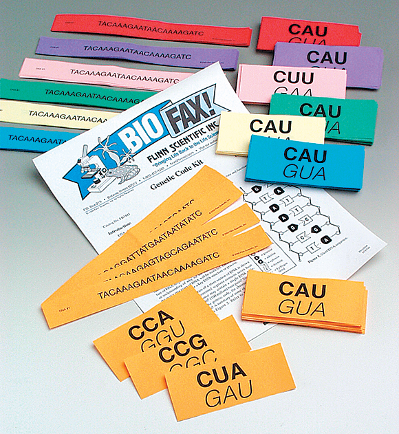 Genetic Code—Super Value Kit