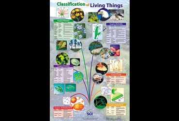 Classification of Living Things Posters for Biology and Life Science