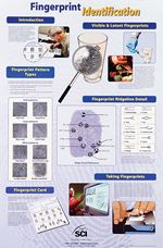 Fingerprint Identification Poster, Paper | Flinn Scientific