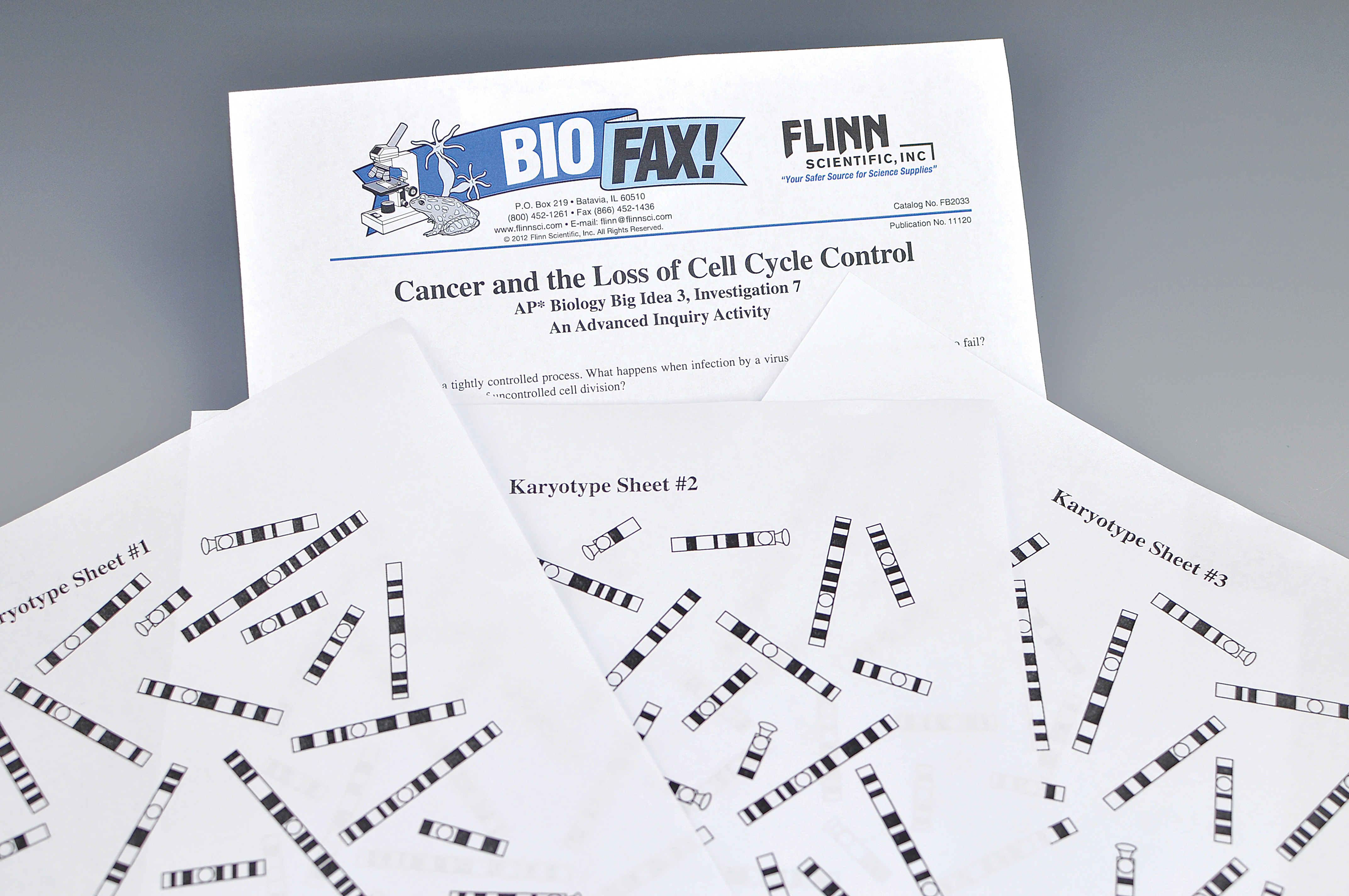 FlinnPREP™ Inquiry Labs for AP® Biology: Cancer and the Loss of Cell ...