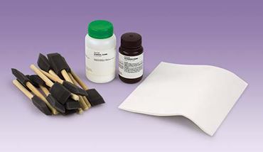 Make Your Own Ozone Test Paper—Student Laboratory Kit | Flinn Scientific