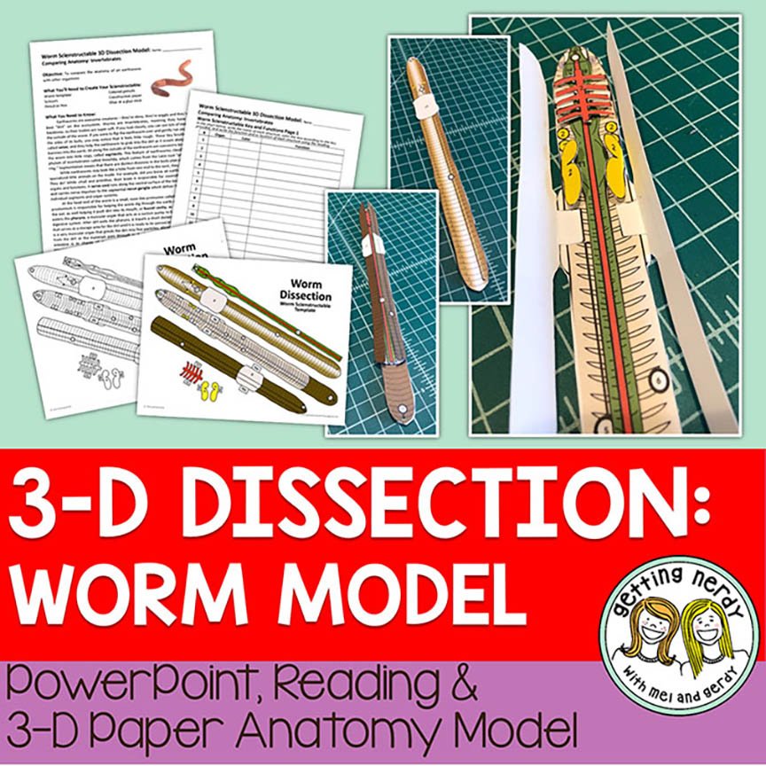 Getting Nerdy® Science—Scienstructable 3-D Dissection: Worm Model