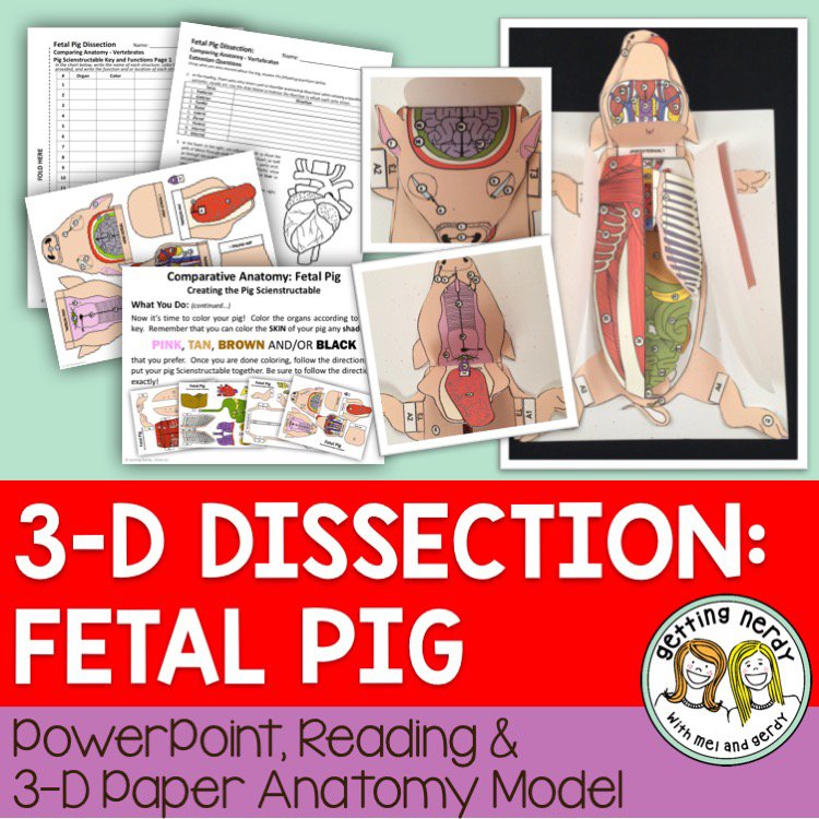 Getting Nerdy® Science—Scienstructable 3-D Dissection: Fetal Pig Model