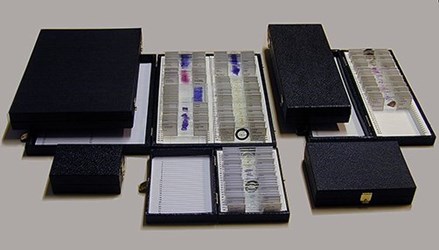 Slide Boxes for Biology and Life Science
