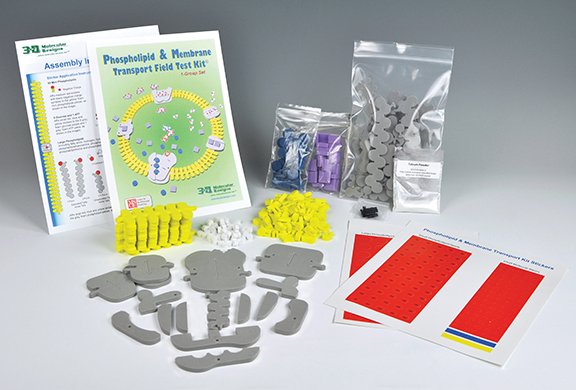 Product 14210 | Flinn Scientific